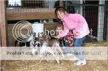 Instructions for making lambar? | Dairy Goat Info Forums