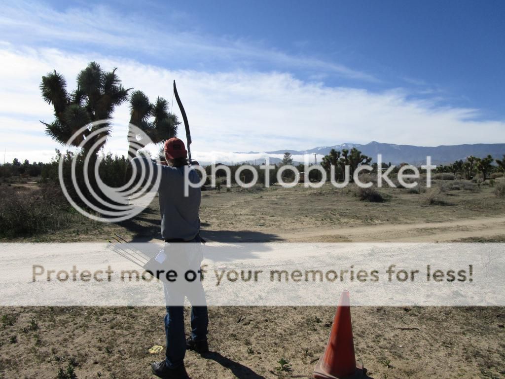 Elbow??? | Archery Talk Forum