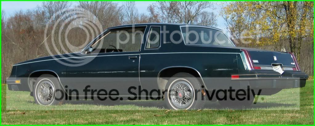 81' CUTLASS SUPREME BUILD | GBodyForum - 1978-1988 GM A/G-Body Community