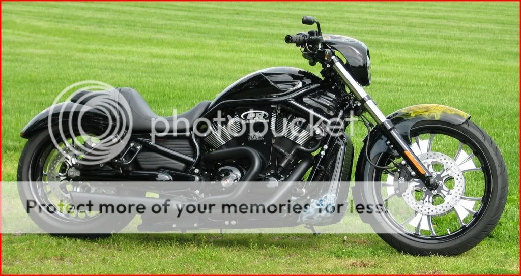 D&D Fat Cat 2-into-1 | Harley Davidson V-Rod Forum
